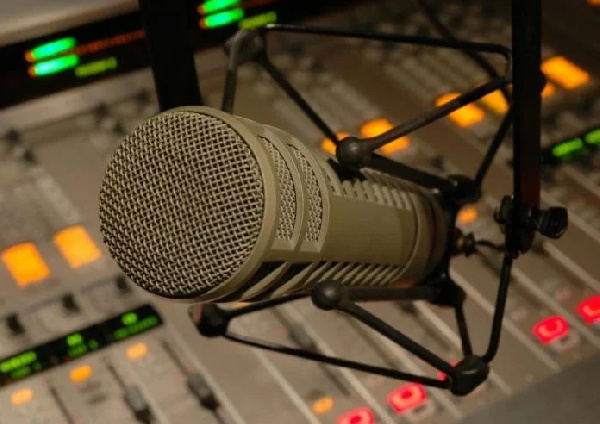 Pro-NDC radio hosts dominate indecent language violations – MFWA July ...