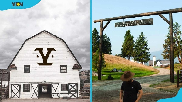 Where is the Yellowstone Ranch filmed? The real Dutton ranch and how to ...
