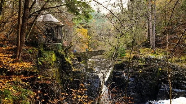 Where Can You Go For Wildlife Tourism In Scotland This Autumn?