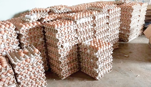 Welcome to Dormaa Ahenkro - Ghana’s Egg City