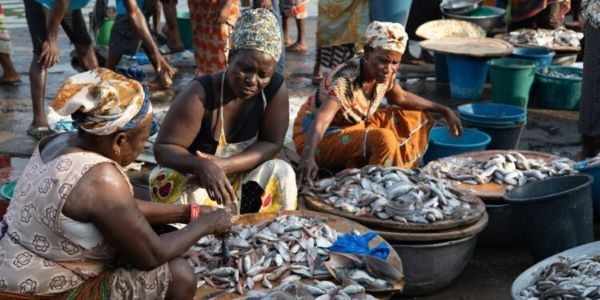 Fisheries Ministry Launches Ghana National Aquaculture Development Plan ...