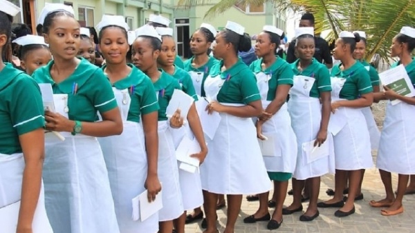 Health Ministry Launches Specialized Nursing Programs for NCD Care