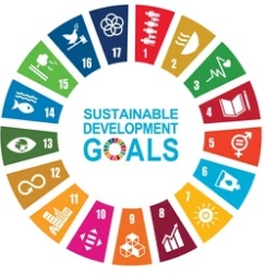 Editorial: Meeting Sustainable Development Goals (SDGs) by 2030?