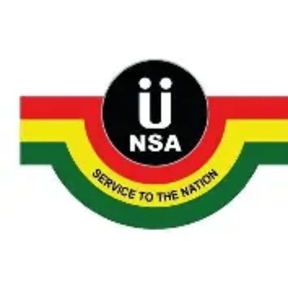 Audit uncovers over 1,000 babies on National Service Authority payroll