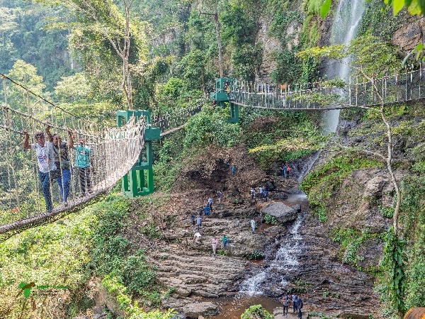 Amedzofe Canopy Walkway: Tourist site to be 'temporarily' closed for ...