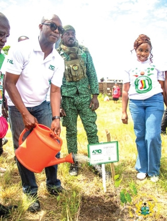 Government Aims to Plant 30 Million Seedlings with Tree for Life Initiative